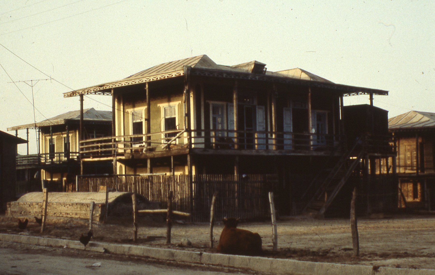 Livestock in front of traditional house | DW Digital Archive